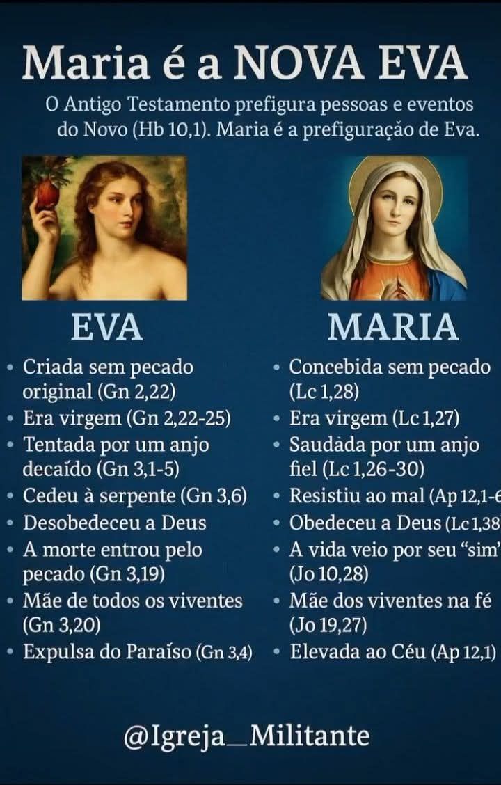 Como entender que os católicos não adoram Maria? O que dizem a Bíblia e ...